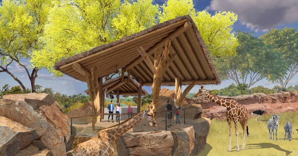 Guide to the Elk Grove - Sacramento Zoo: What to Expect | Explore Elk Grove