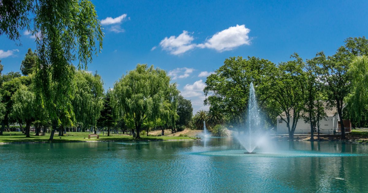 Privacy Policy | Explore Elk Grove Privacy Policy | Explore Elk Grove