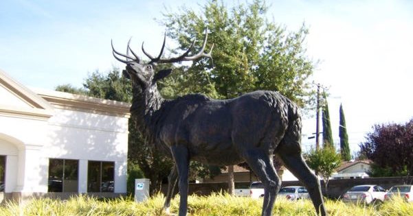 Five Things You Didn't Know About Elk Grove | Explore Elk Grove