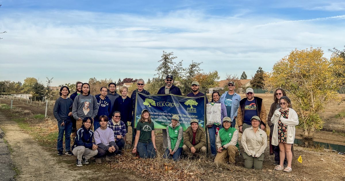 A Blooming Experience in Elk Grove: Native Wildflower Seeding | Explore ...