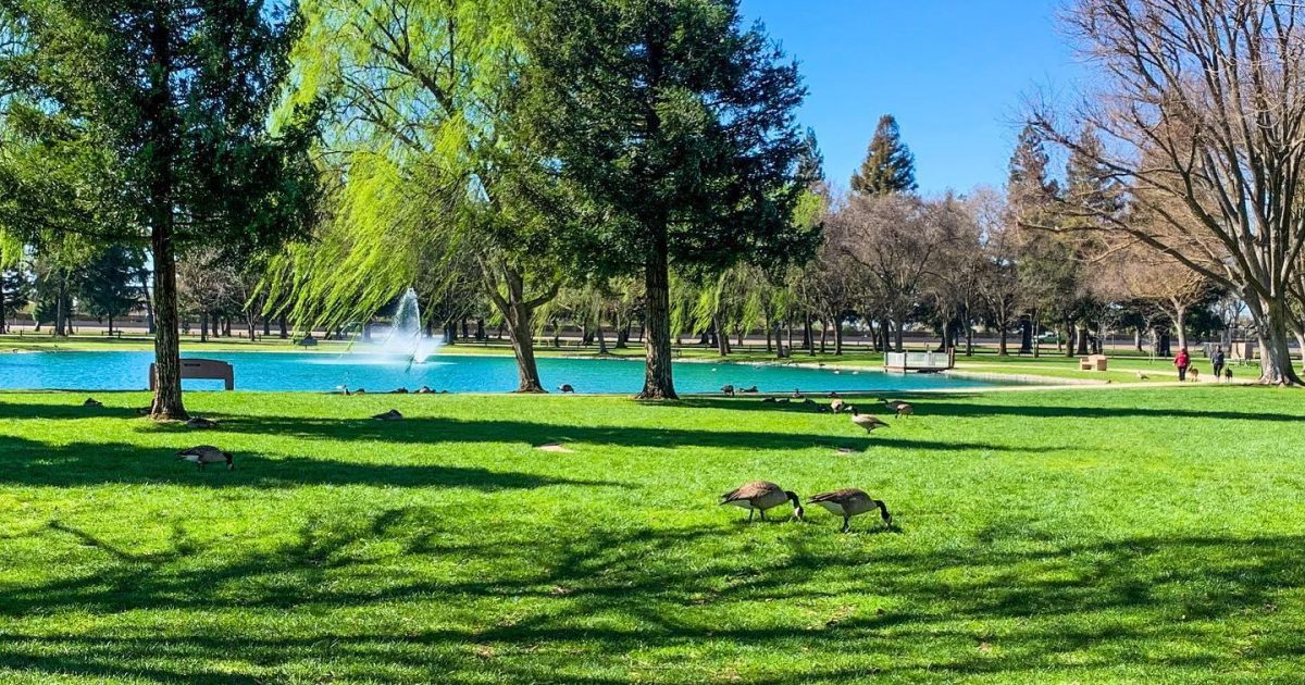 Cosumnes River Preserve | Photos & Trails Guide | Explore Elk Grove
