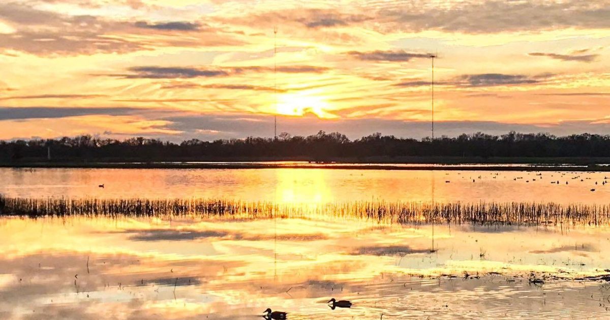 Guide to the Cosumnes River Preserve | Explore Elk Grove