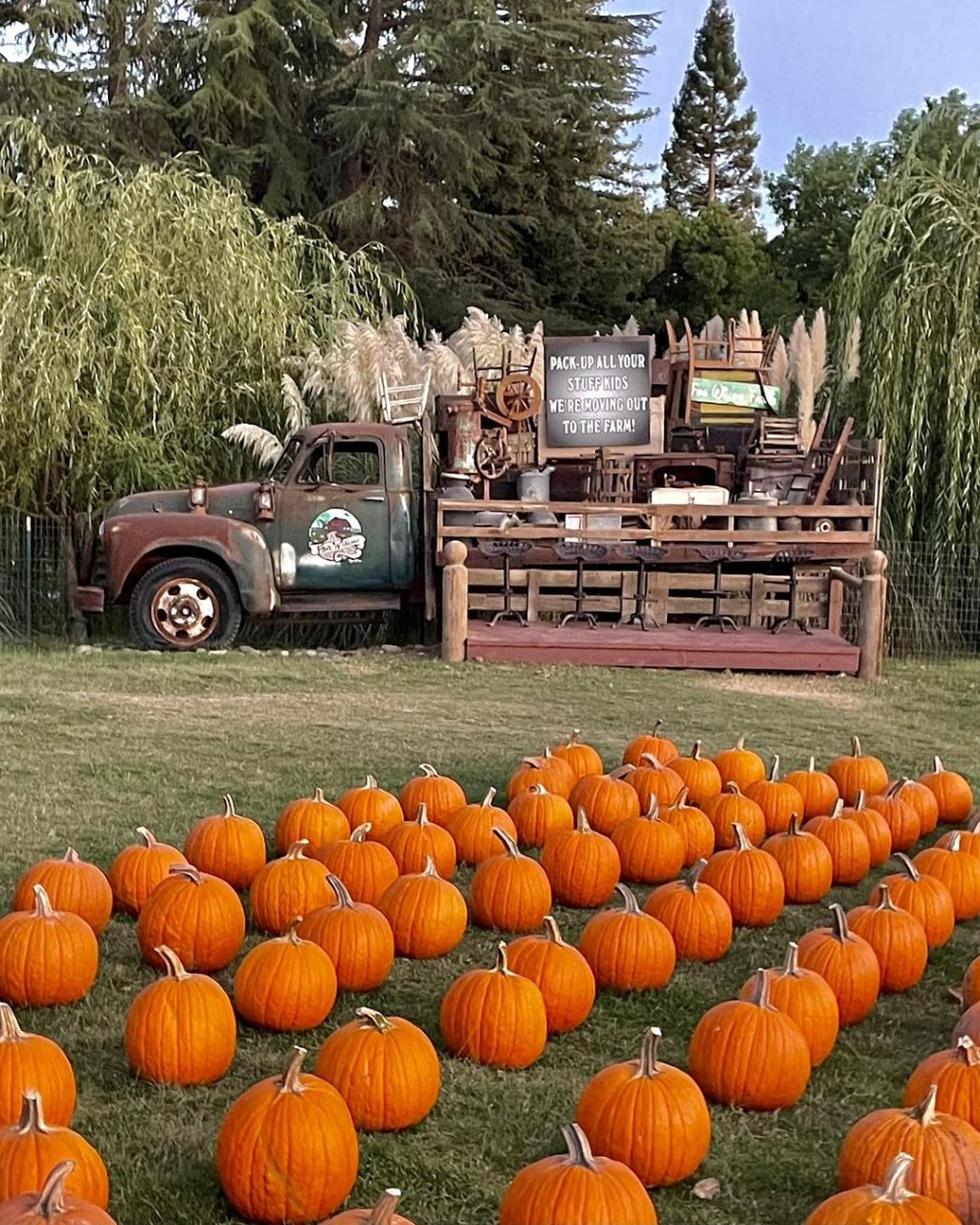 Fog Willow Farms | Explore Elk Grove