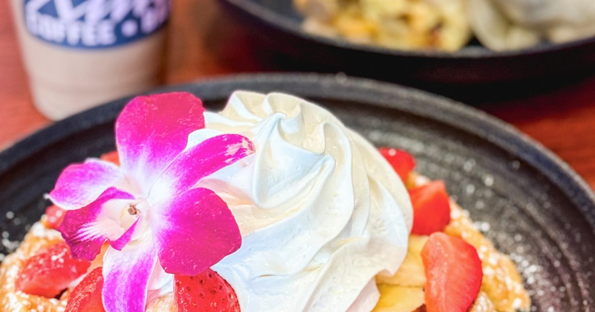 Xulo Coffee Bar | Explore Elk Grove