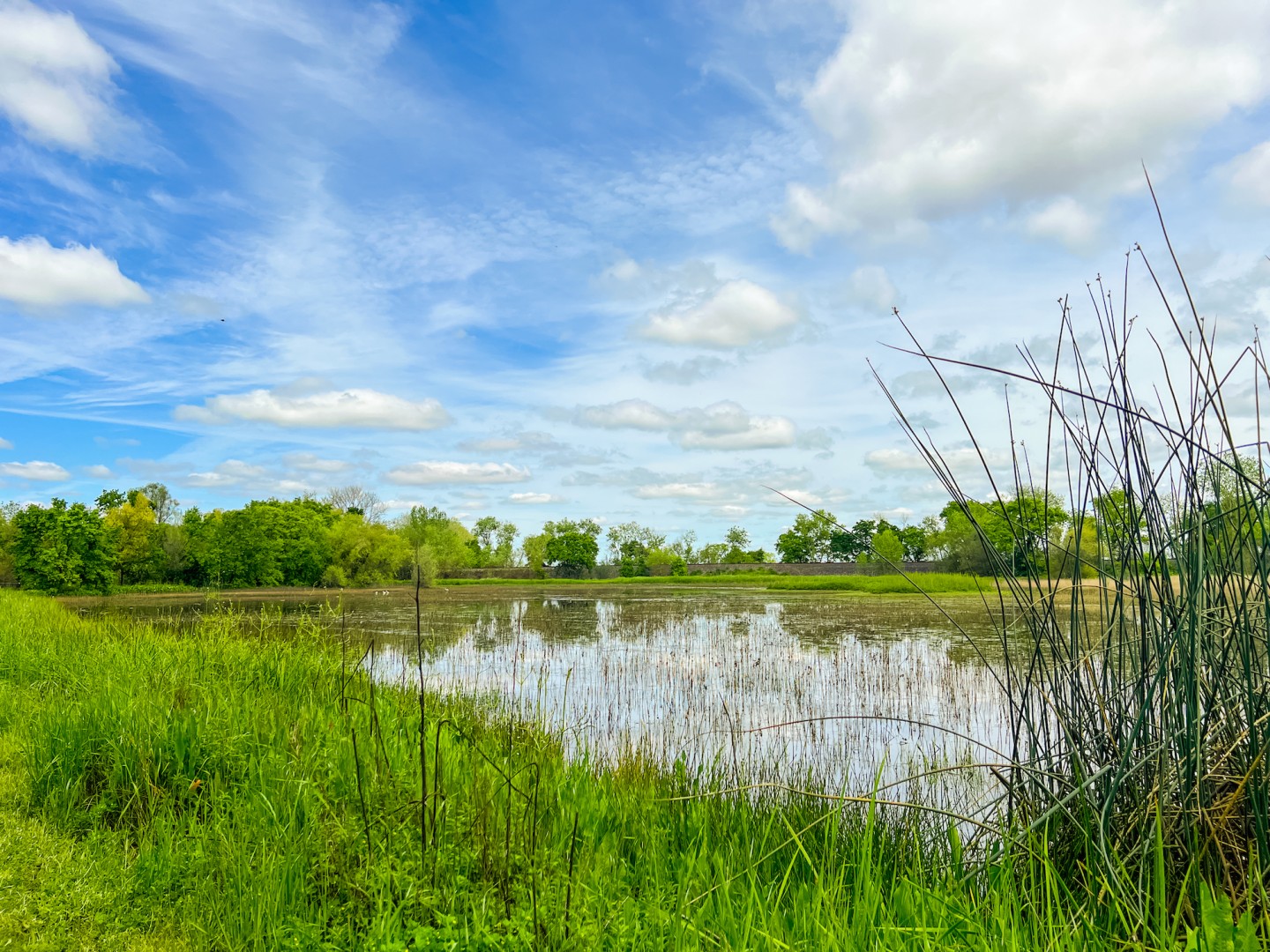 Cosumnes River Preserve Information - Explore Elk Grove